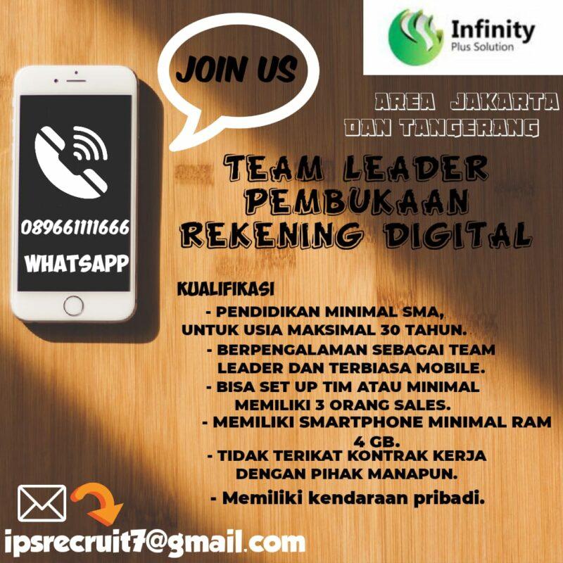 Lowongan Kerja Team Leader Pembukaan Rekening Digital di PT. Infinity ...