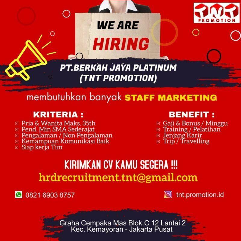 Lowongan Kerja Staff Marketing di TNT Promotion - JakartaKerja