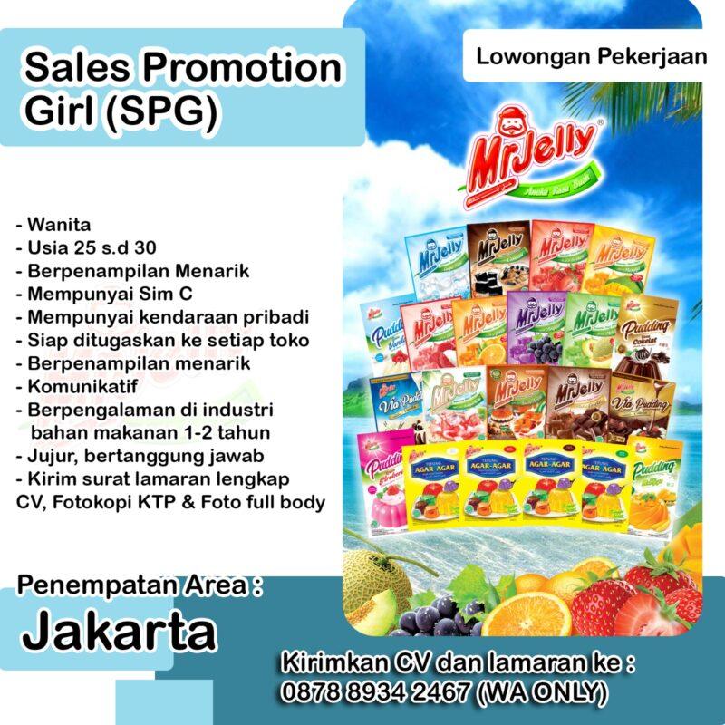 Lowongan Kerja Sales Promotion Girl (SPG) di CV Natura International ...