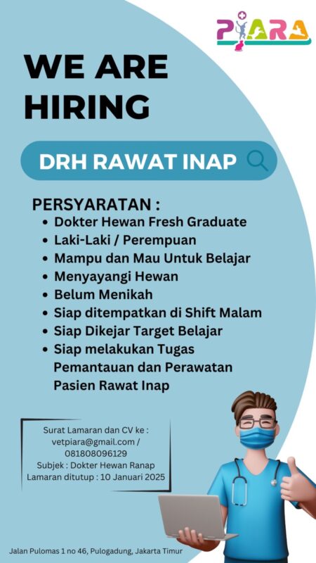 Lowongan Kerja Dokter Hewan Rawat Inap di Praktek Dokter Hewan PiaraVet ...
